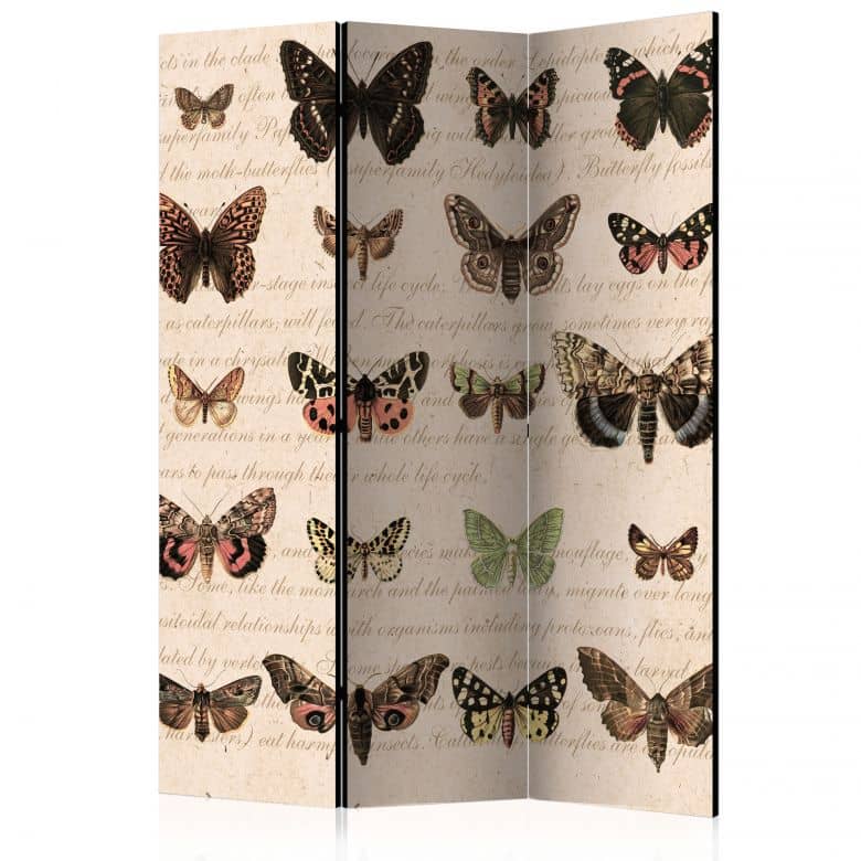 Screen room divider - Retro style - Butterflies, 3-piece | wall-art.com