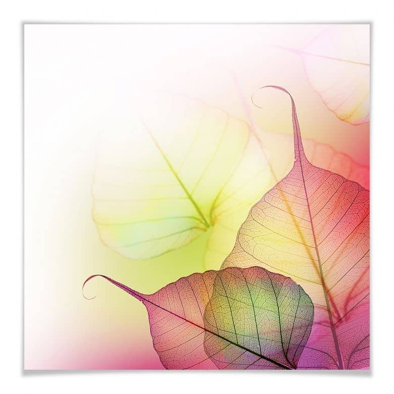 Poster Pink Design | wall-art.com