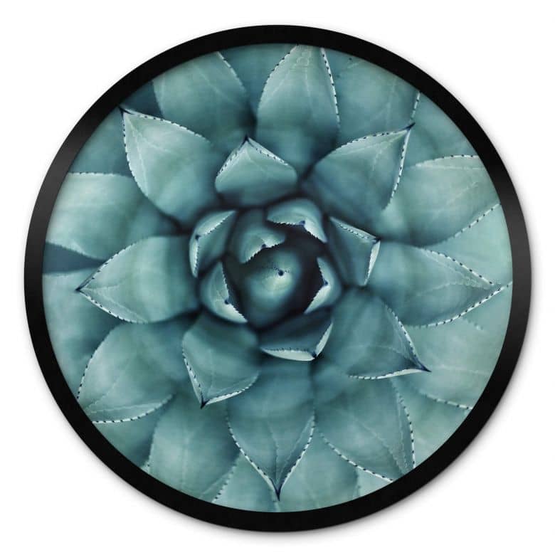 Poster Agave 02 | wall-art.fr