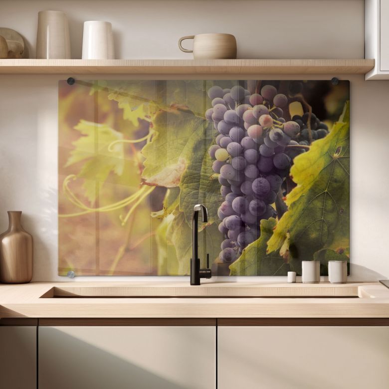 Grapes of Tuscany - Kitchen Splashback | wall-art.com